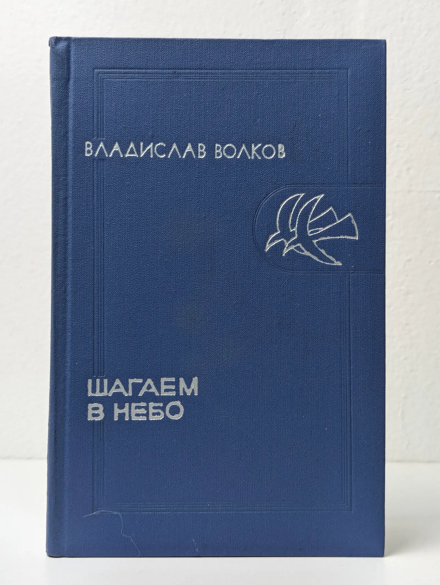 Шагаем в небо Волков Владислав Николаевич 1973