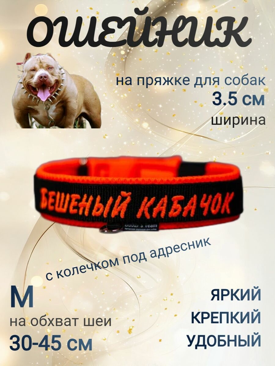 Ошейник для собак на пряжке, с вышивкой бешеный кабачок, ширина 3,5 см, с мягким подкладом для средних и крупных пород, размер M