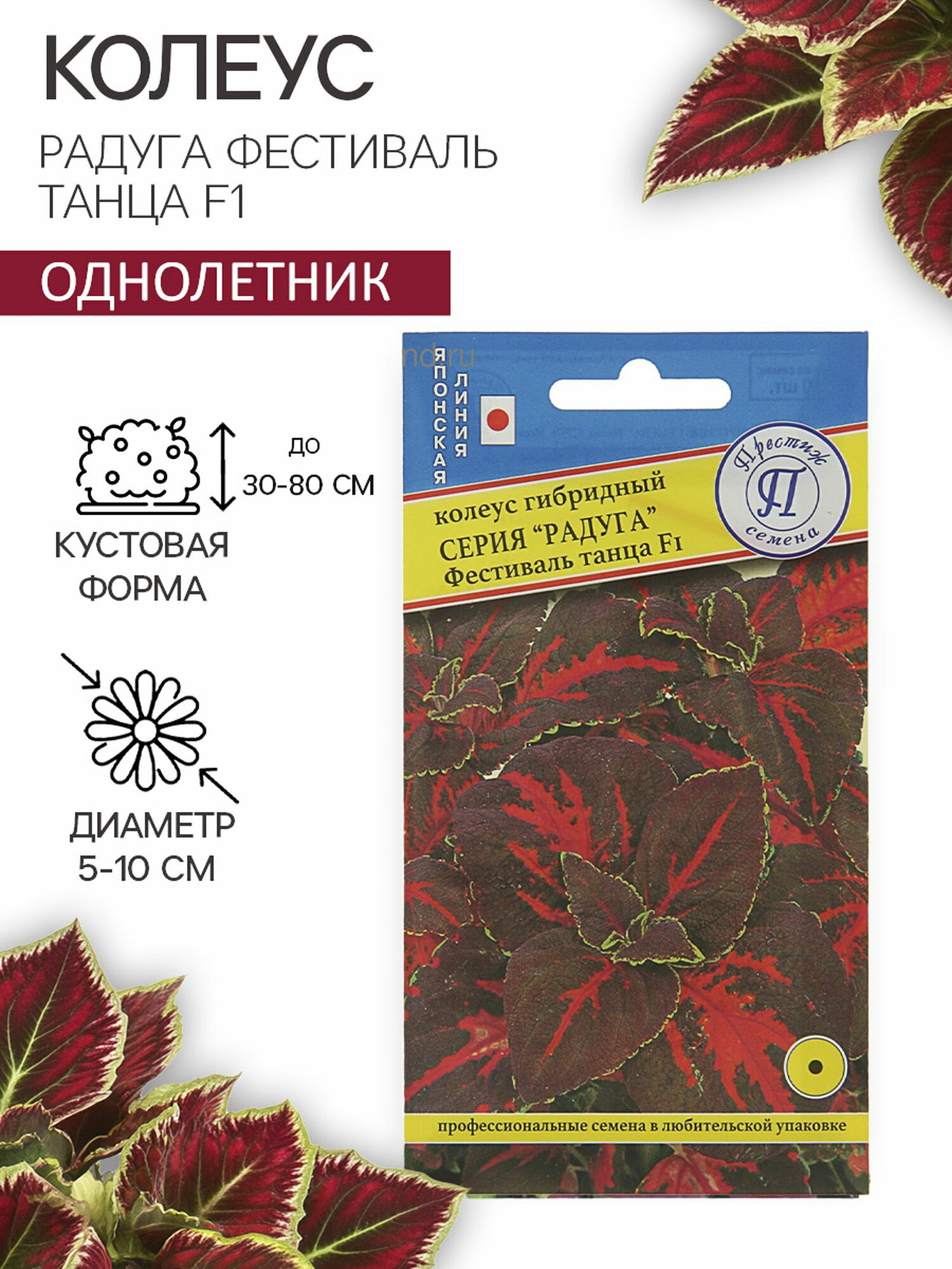 Семена цветов Колеус "Радуга - Фестиваль танца", F1, 10 шт, по форме куста: ампельная