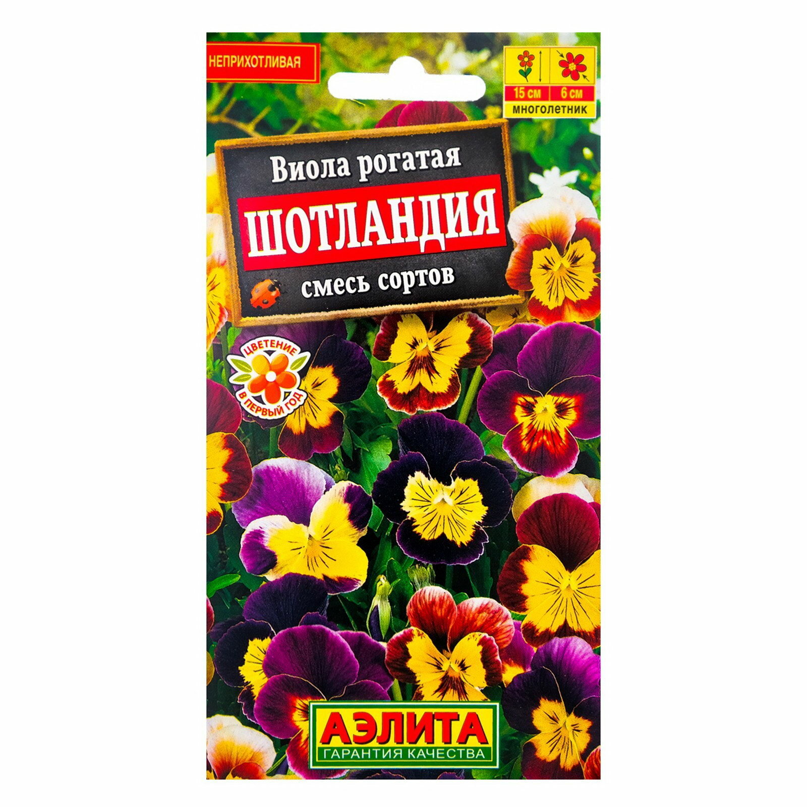 Семена цветов Виола "Шотландия", 0.1 г, цветение период: август
