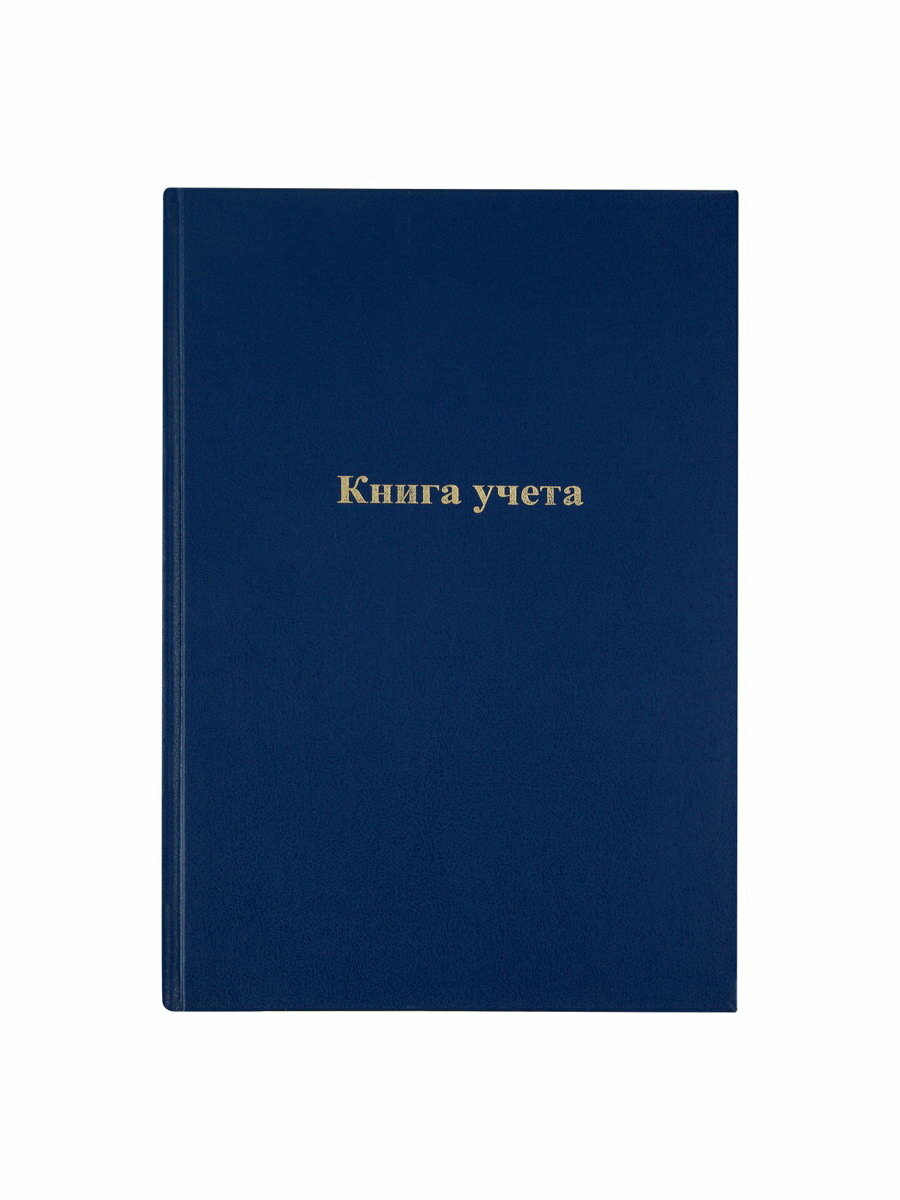 Книга учета, 96 листов, обложка бумвинил, блок газетный, клетка, синяя