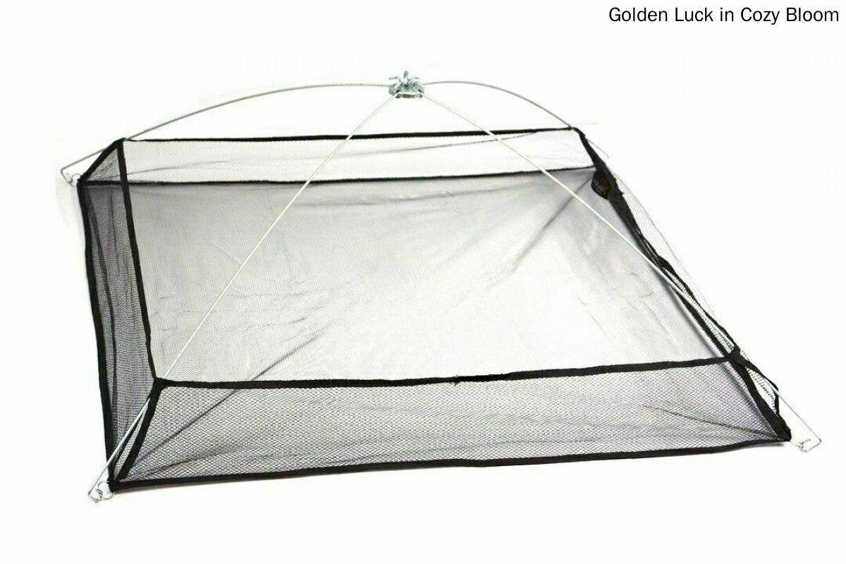 Аксессуары и оснастка для рыбалки