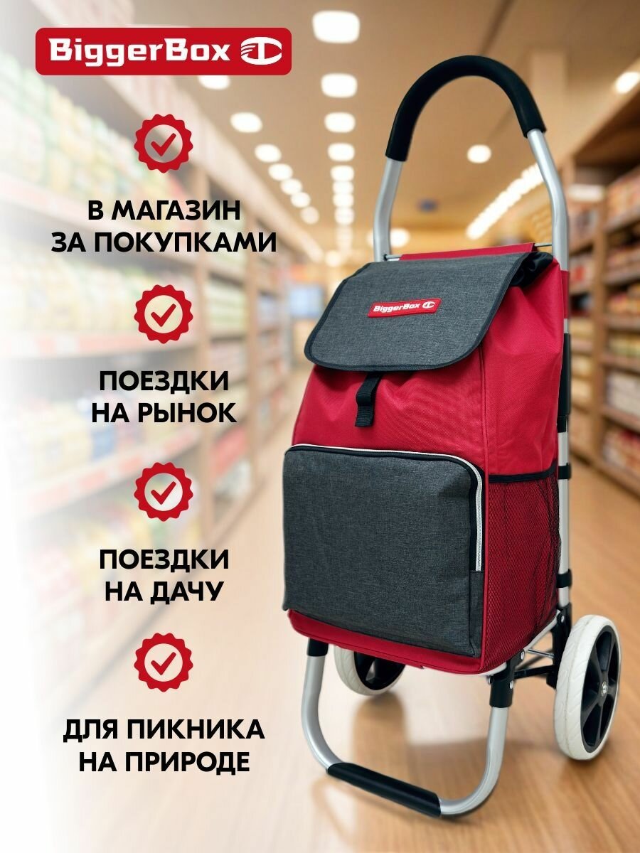 Сумка-тележка — фото 1