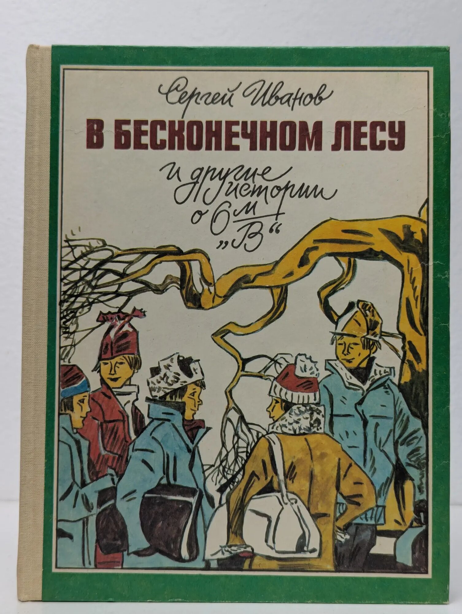 В бесконечном лесу и другие истории о 6-м "В" Иванов Сергей Анатольевич 1991