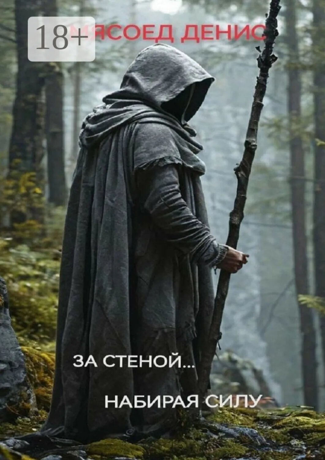 За стеной… Набирая силу [Цифровая книга]