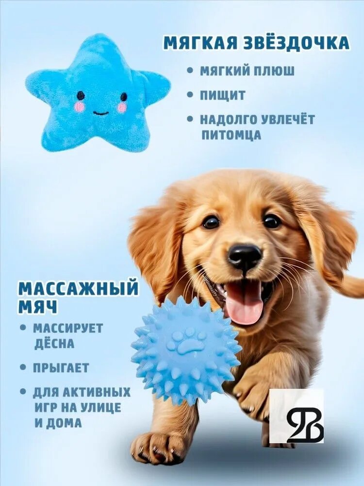 Набор игрушек для щенков и собак 5 в 1, для активных игр, резиновые и силиконовые предметы — фото 1