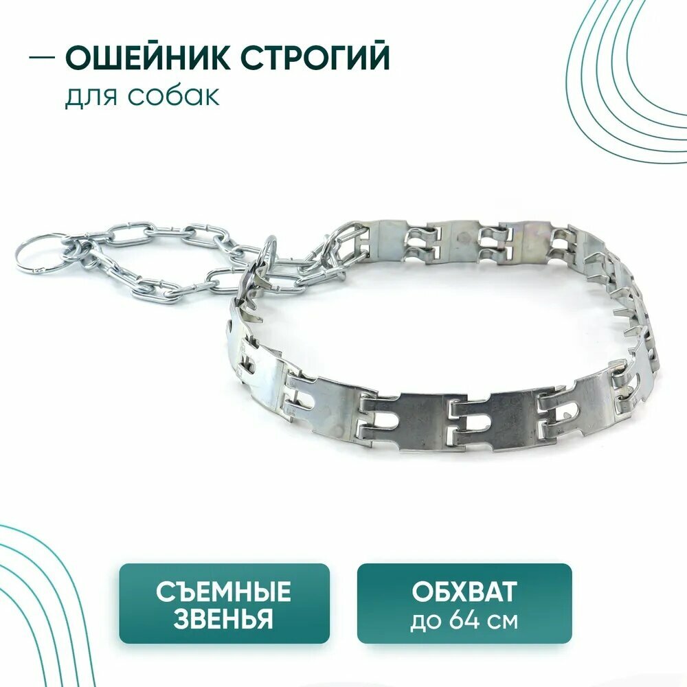 Ошейник для собак строгий, из пластин, обхват до 64 см