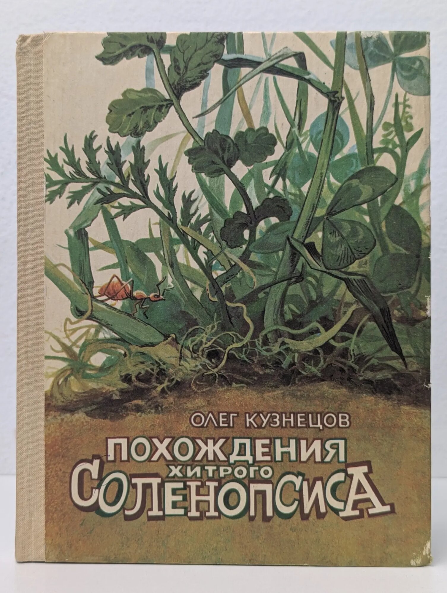 Похождения хитрого Соленопсиса Кузнецов Олег Александрович 1991