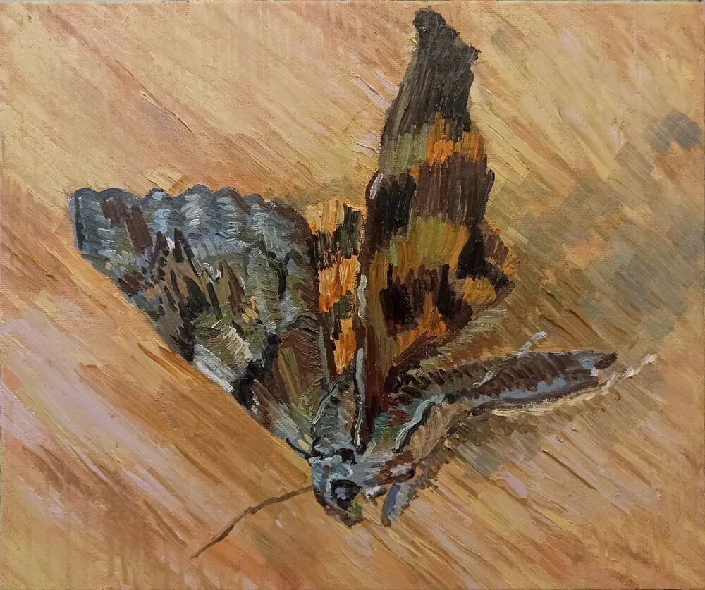 Картина маслом "Бабочка", 25х30 см, ручная работа
