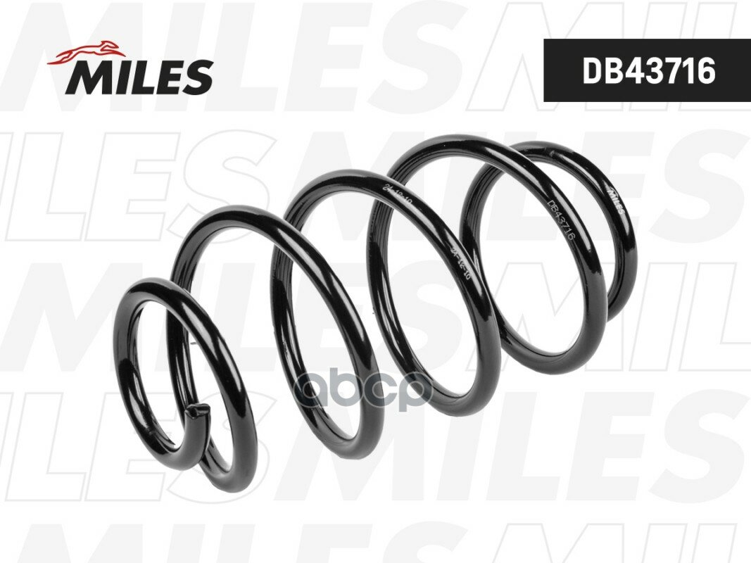 Пружина подвески EXCEED TX/TXL 19- передняя Miles арт. DB43716
