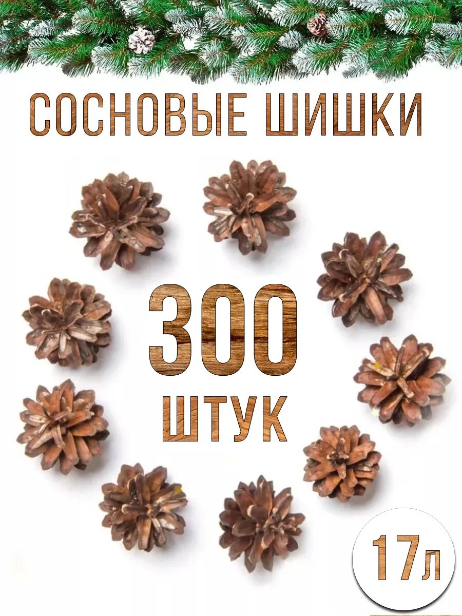 Хвойные сосновые шишки для поделок набор 300 штук