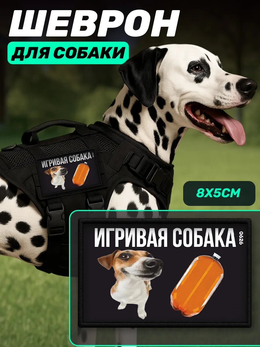 Шеврон на липучке для собак мем Игривая собака