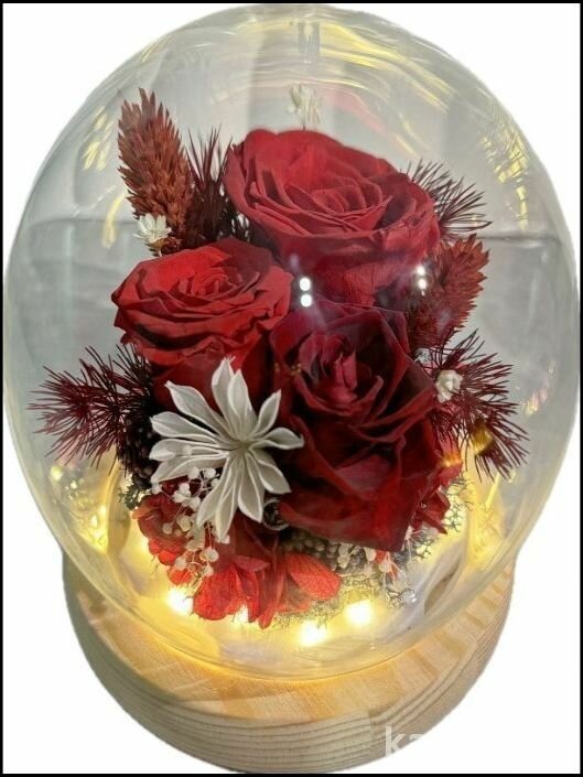 Эксклюзивный стабилизированный куст розы, 14 см, 350 грамм