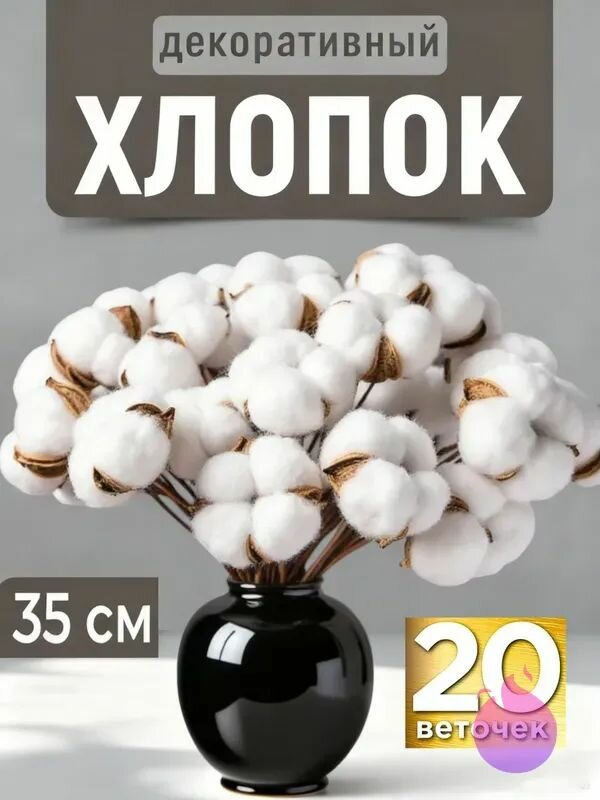 Сухоцветы Хлопок, 35 см, 20 шт