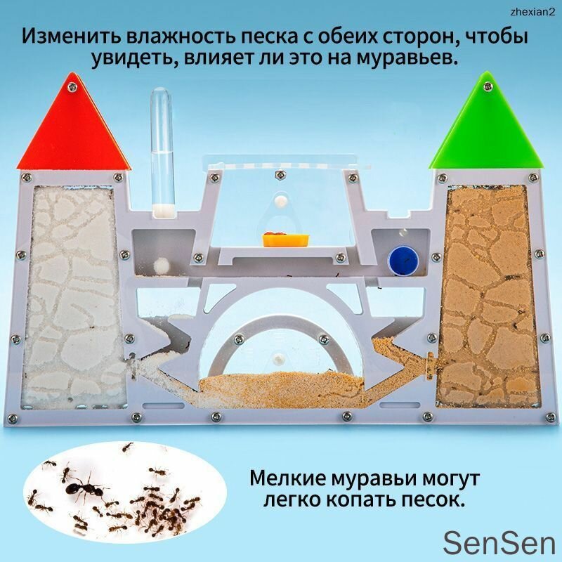 Муравьиная ферма — фото 1