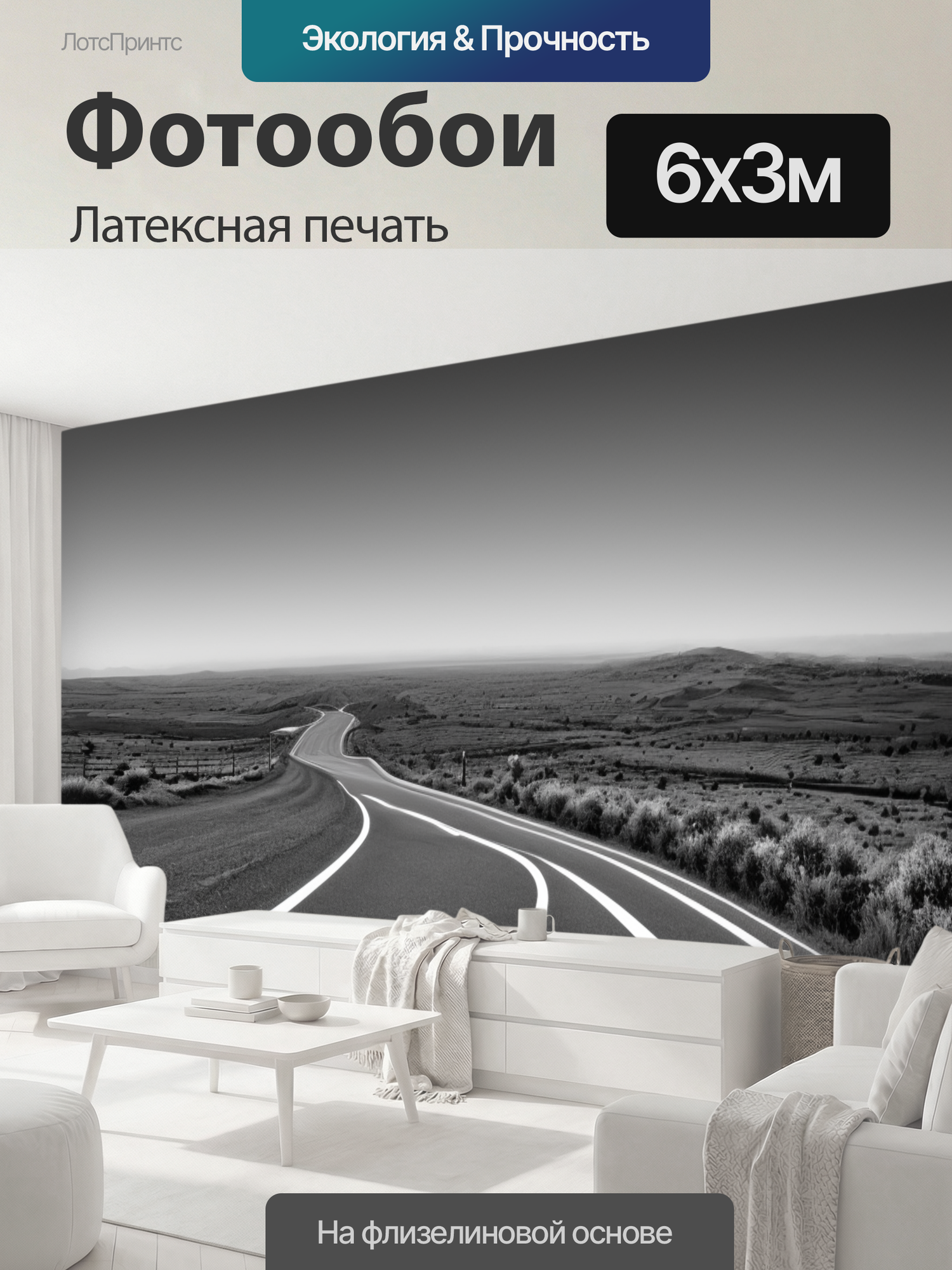 Фотообои моющиеся ударопрочные "Черно белый пейзаж с дорогой" 600x300 см. латексная печать