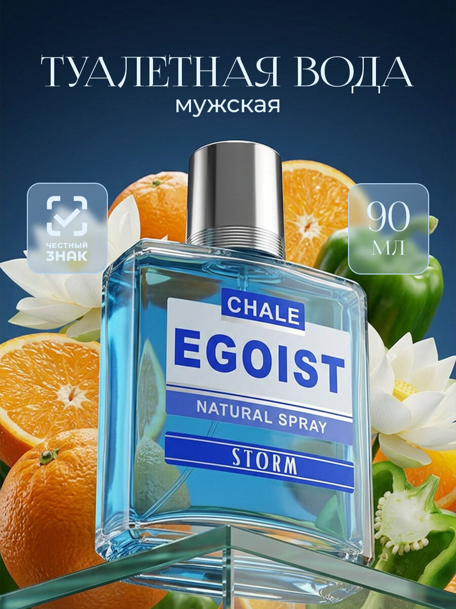 Туалетная вода Alain Aregon мужская Chale Egoist Storm 90мл