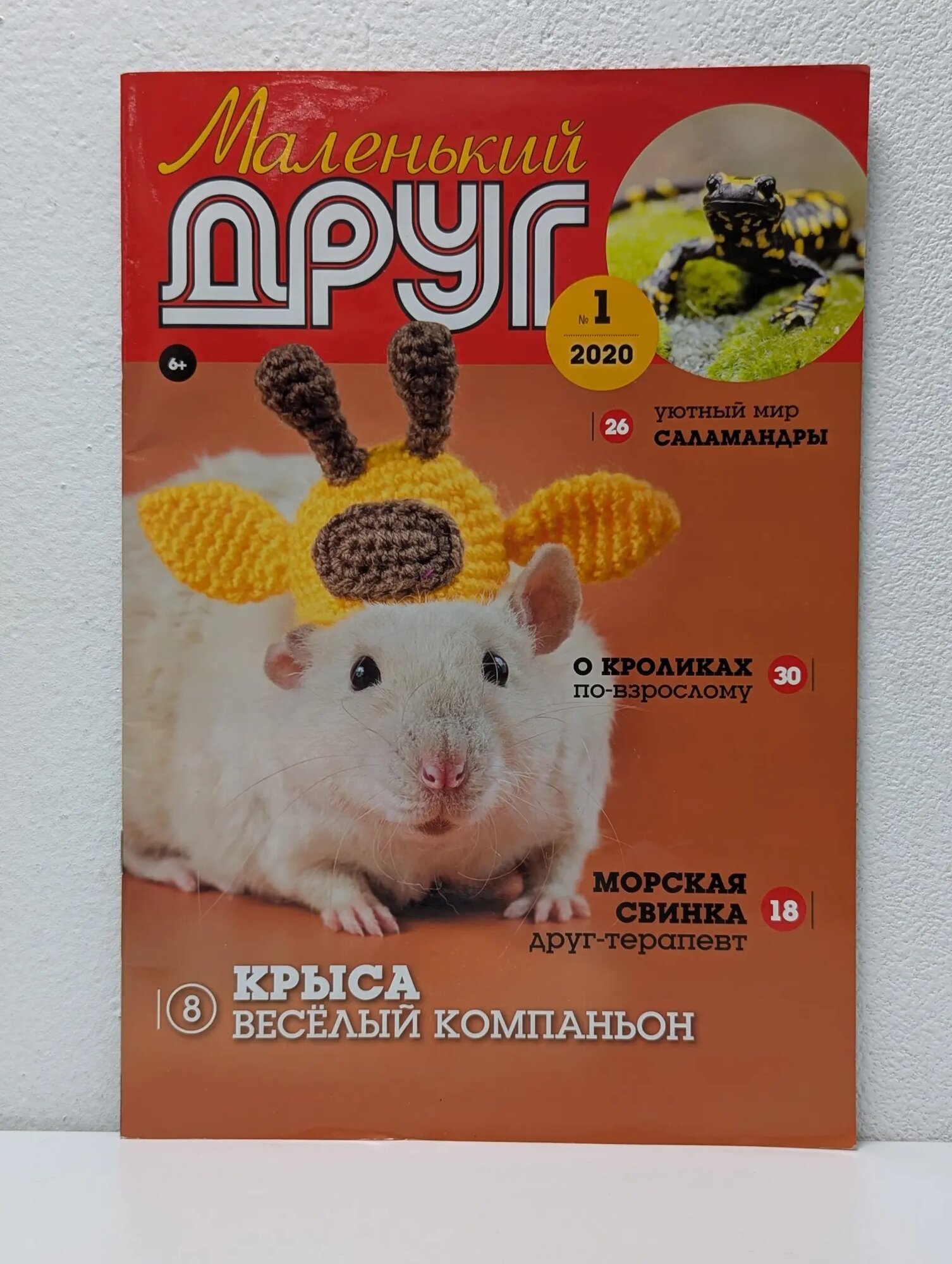 Маленький друг. Выпуск № 1/2020 Сборник 2020