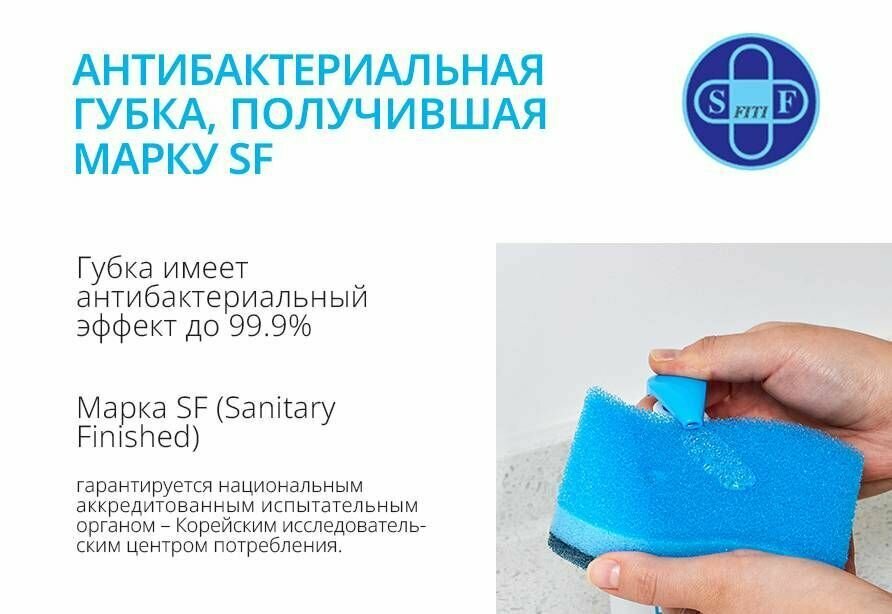 Губка — фото 1