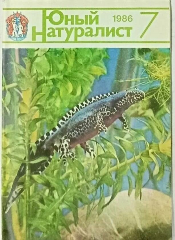Юный натуралист, № 7 1986