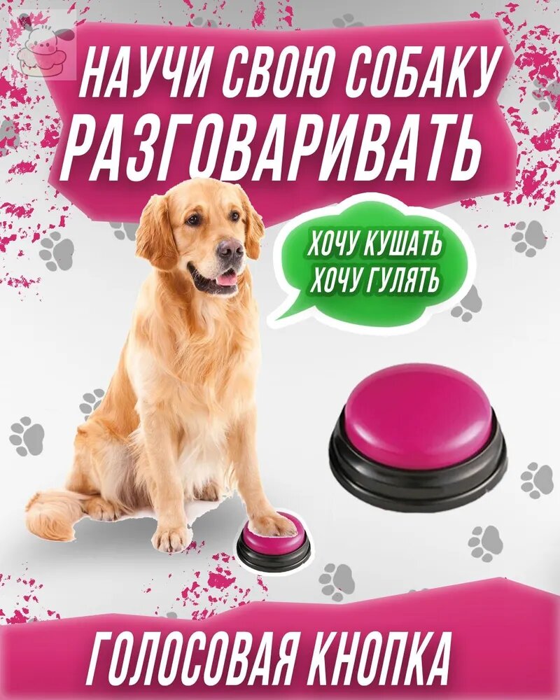 Звонок для животных SZTAO1