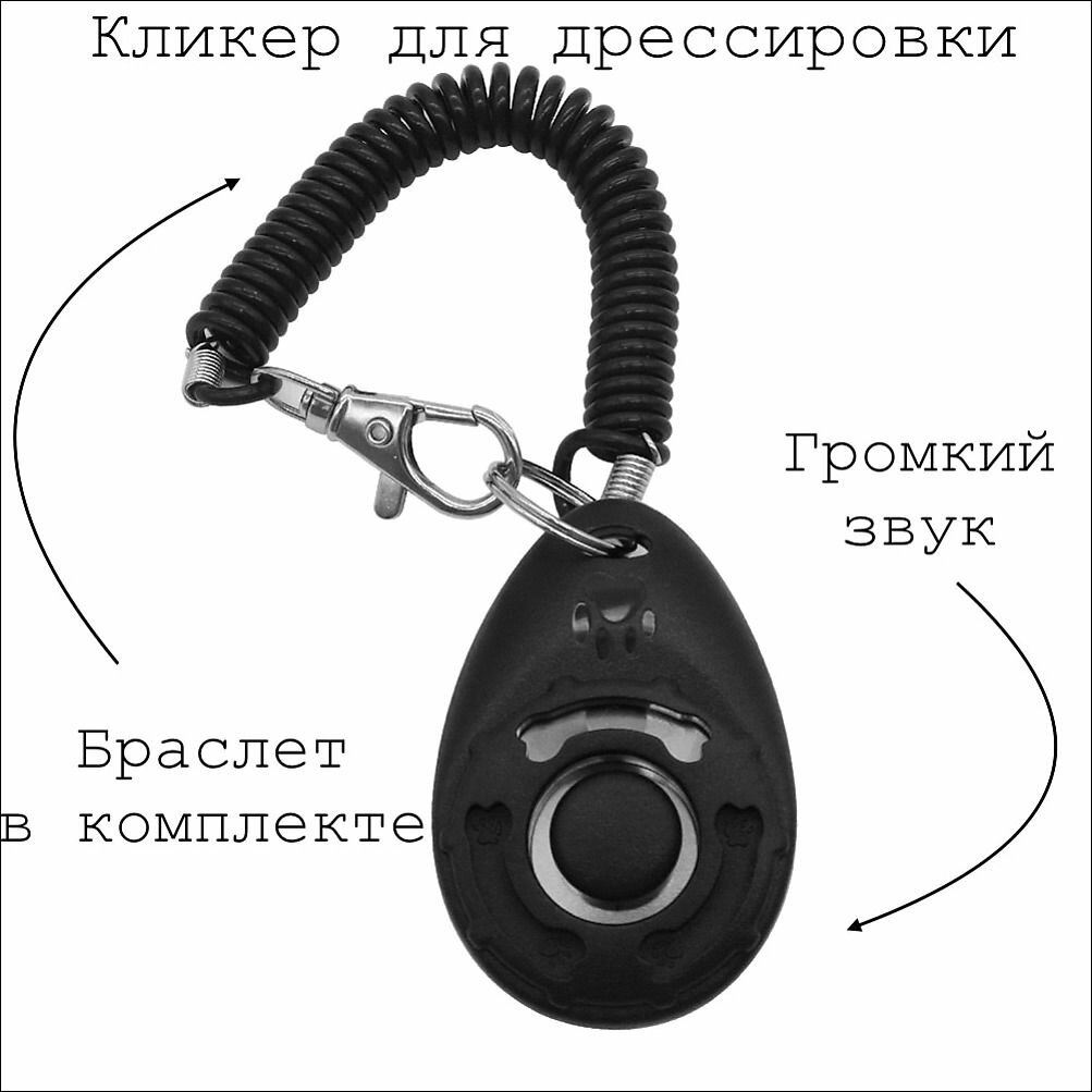Аксессуары для дрессировки собак, свисток для дрессировки домашних животных, портативный тренажер