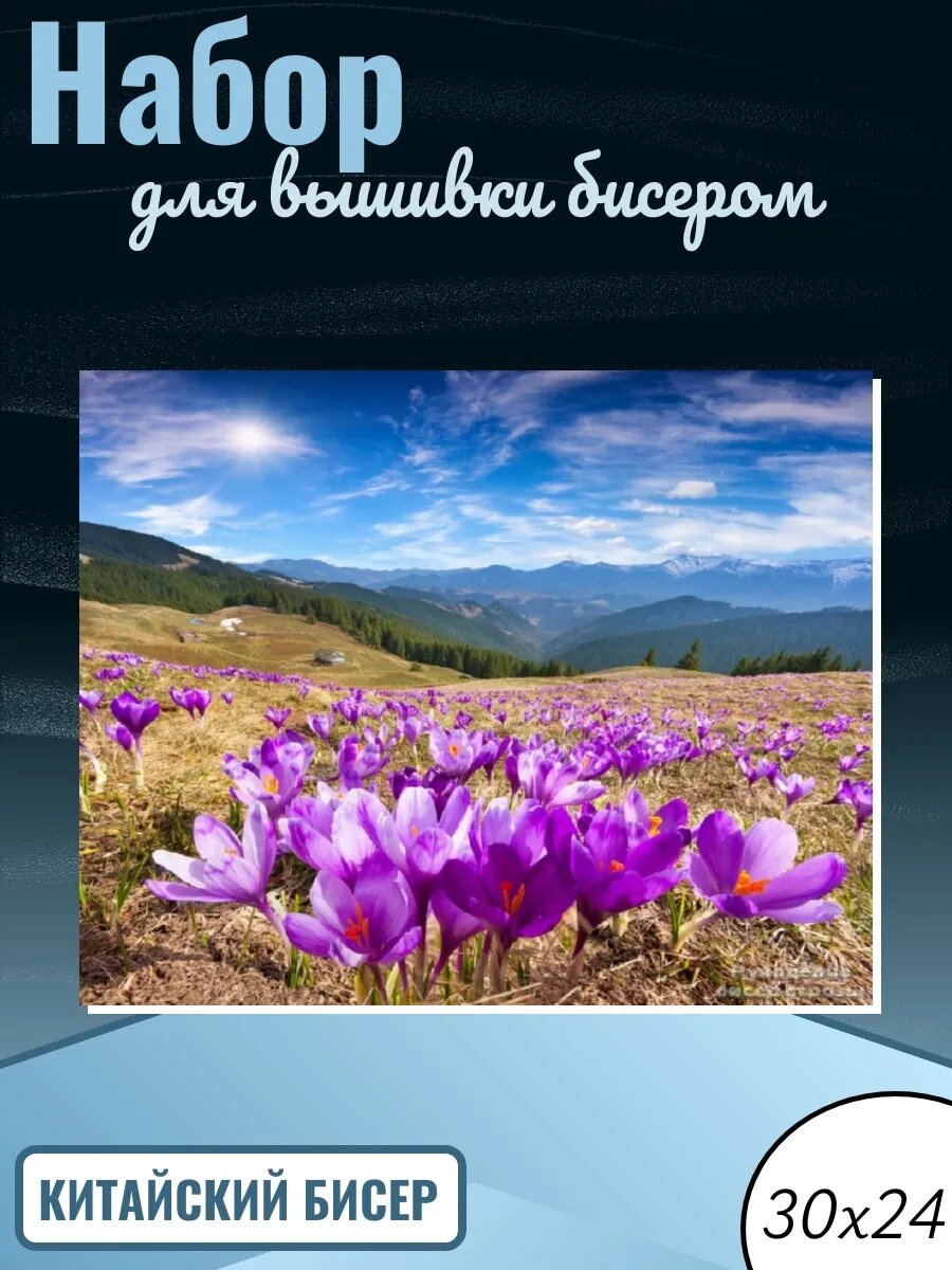 Набор для вышивания бисером "Цветочное поле" 24х30