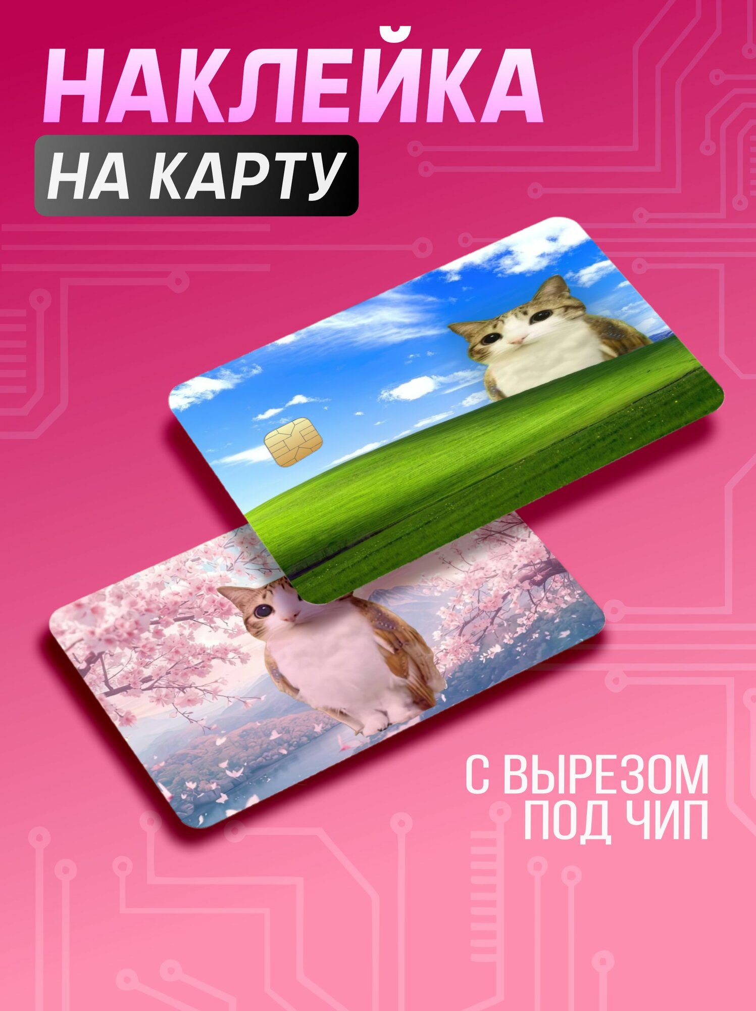 Наклейка на банковскую карту мем тикток Meowl