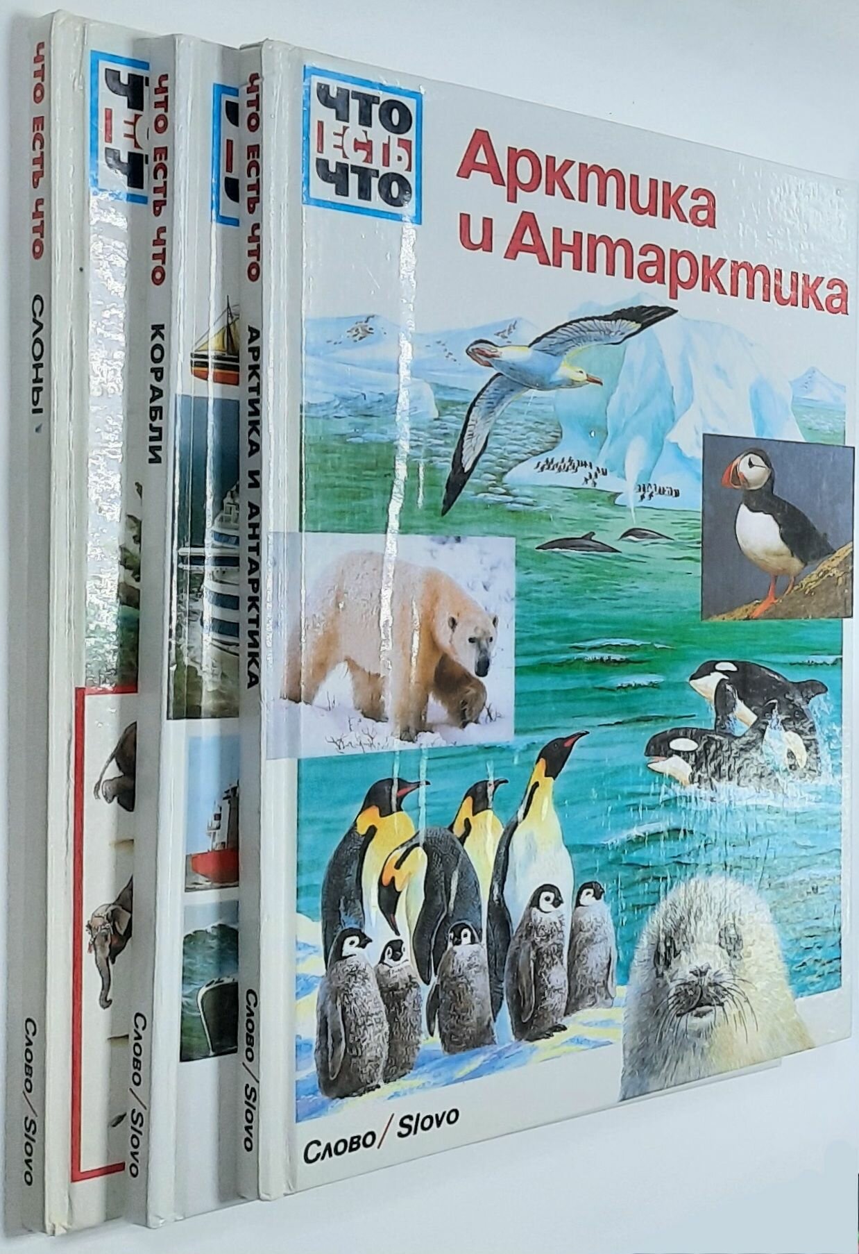 Что есть что. Слоны и др. (комплект из 3 книг)
