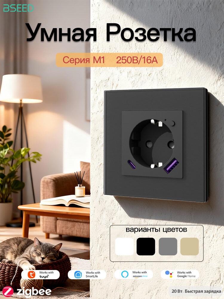 Розетка Умная Zigbee одинарная с USB и type-C входами, быстрая зарядка 20W, мониторинг потребления, поддержкой Яндекс Алисой, рамка стекло Черная