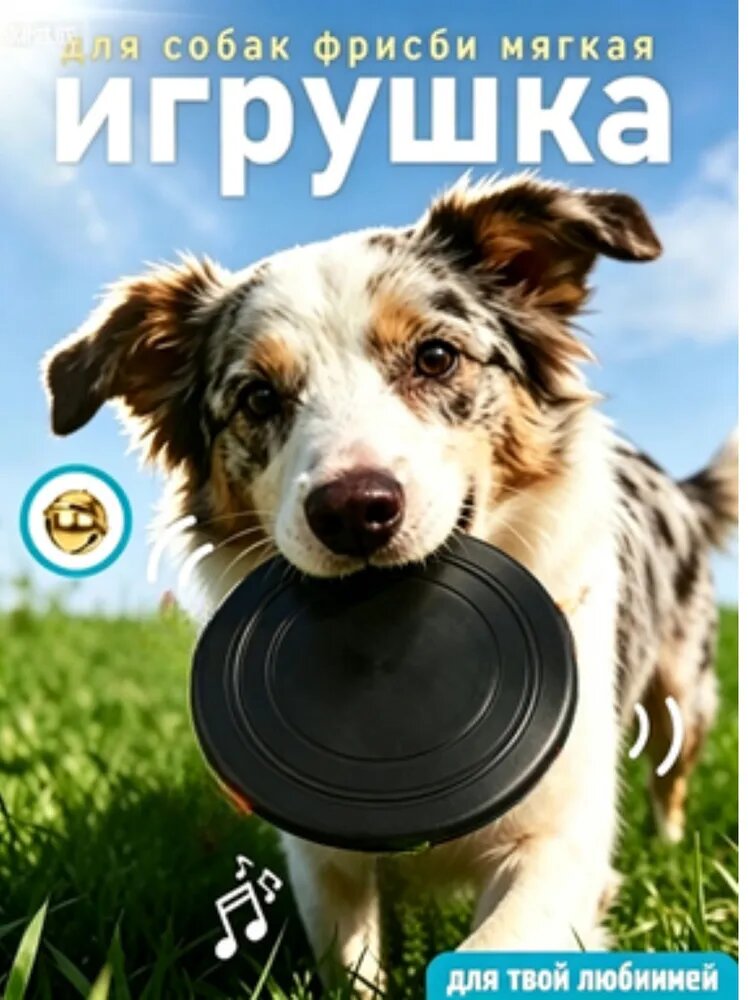 Фрисби для собак