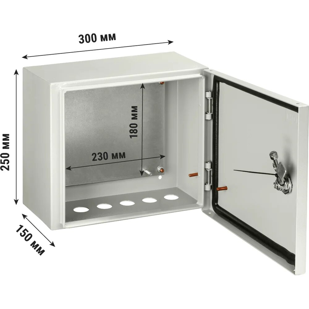 Щит с монтажной панелью ЩМП-2.3.1-0 IP66 250х300х150 TDM ELECTRIC SQ0905-0076 — фото 1