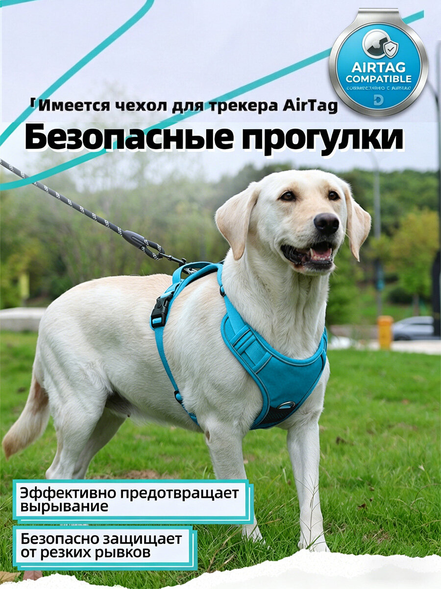 Шлейка для собак анатомическая с чехлом для AirTag и светоотражающими элементами, регулируемая мягкая