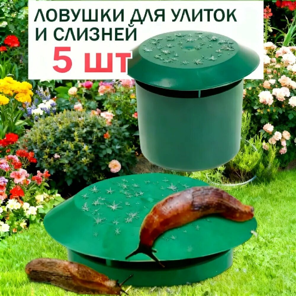 Ловушка для садовых вредителей