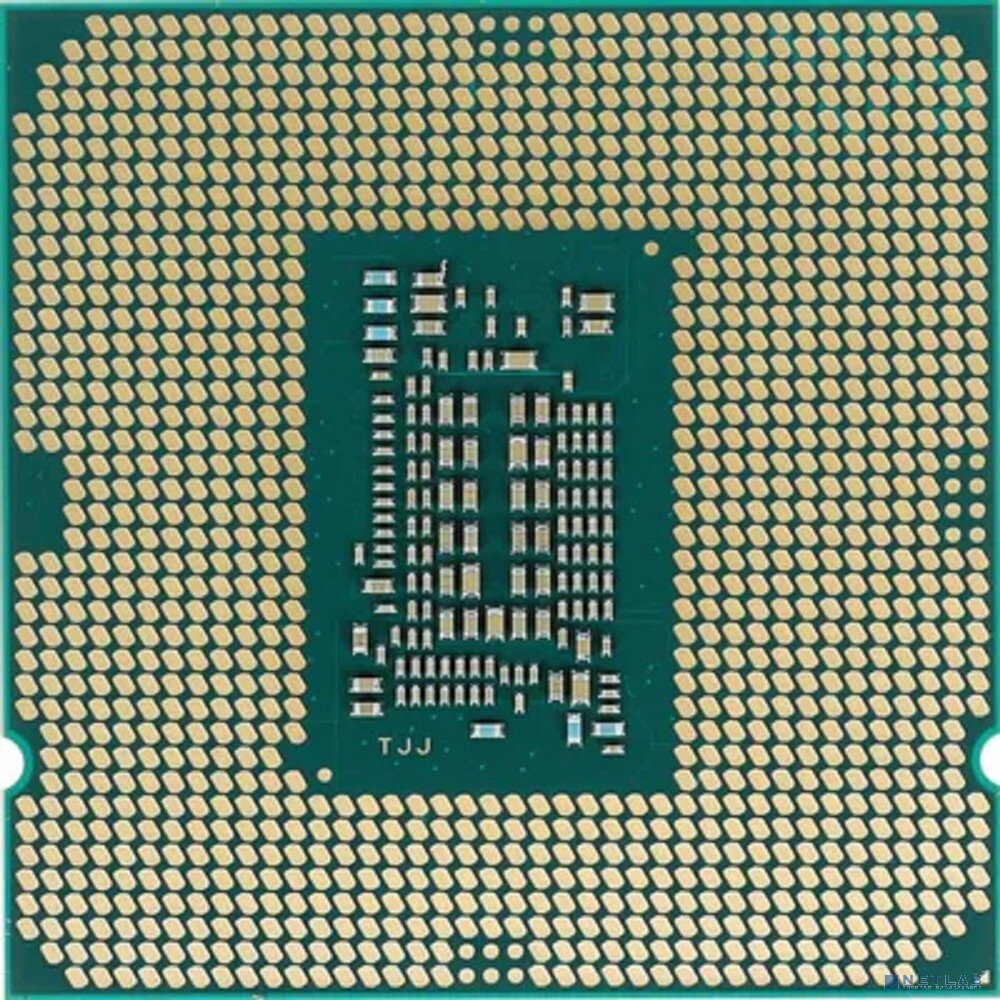 CPU Intel Celeron G5905 Comet Lake OEM — фото 1