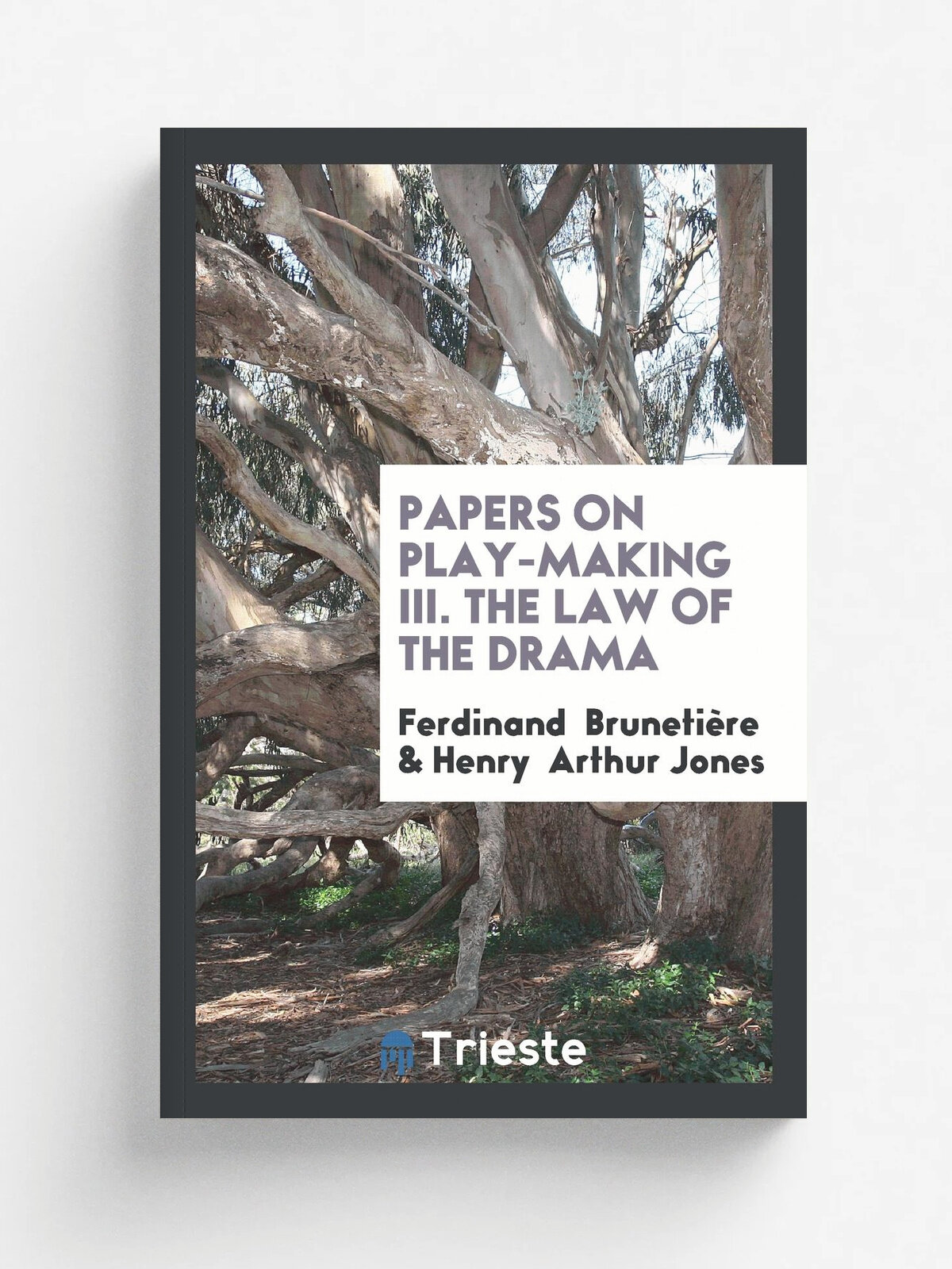 Papers on Play-Making III. The Law of the Drama