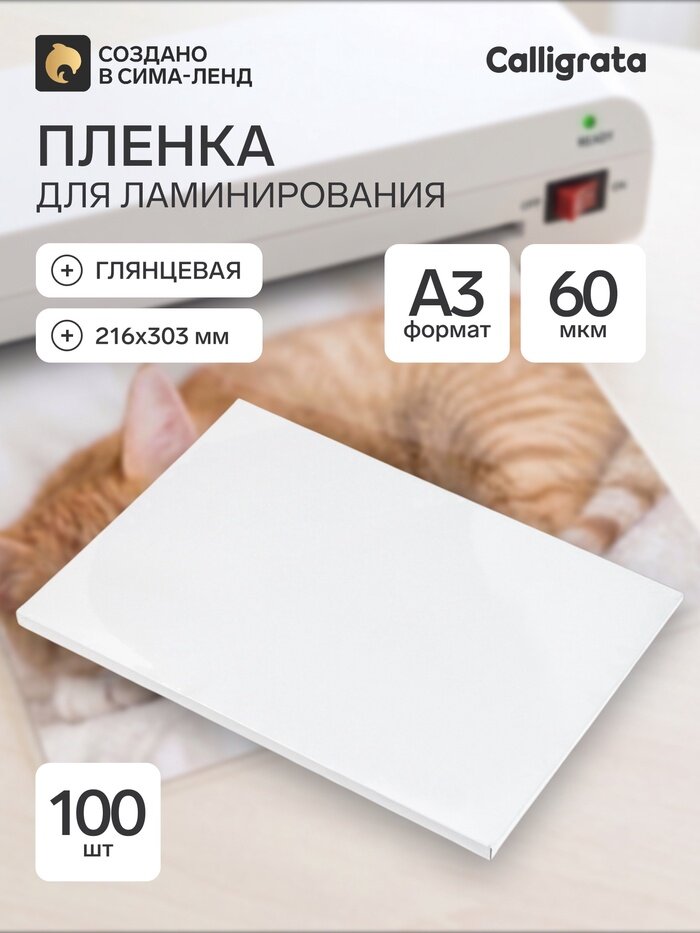Пленка для ламинирования A3, 100 штук, глянцевая, 60 мкм, 303×426 мм