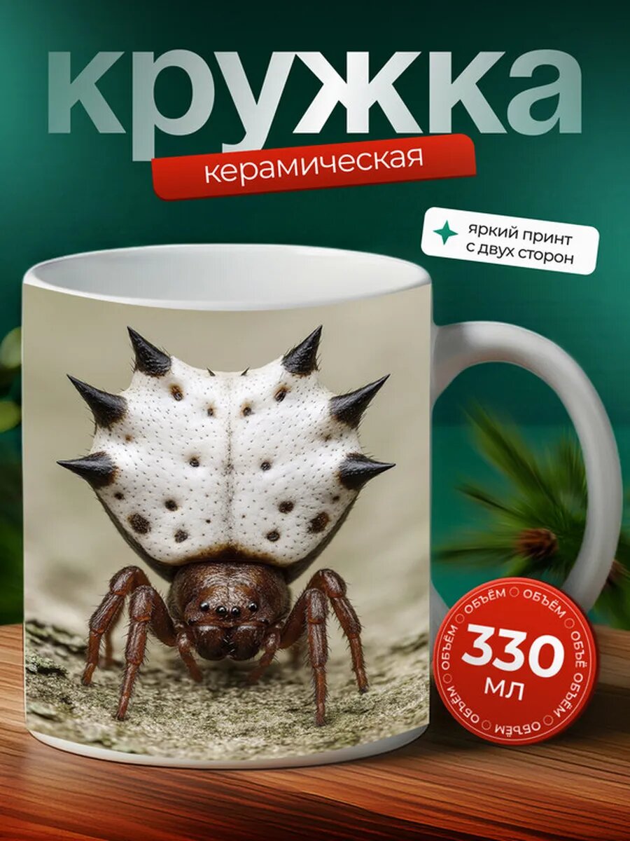 Кружка Паук-бокоход паукообразное 7,