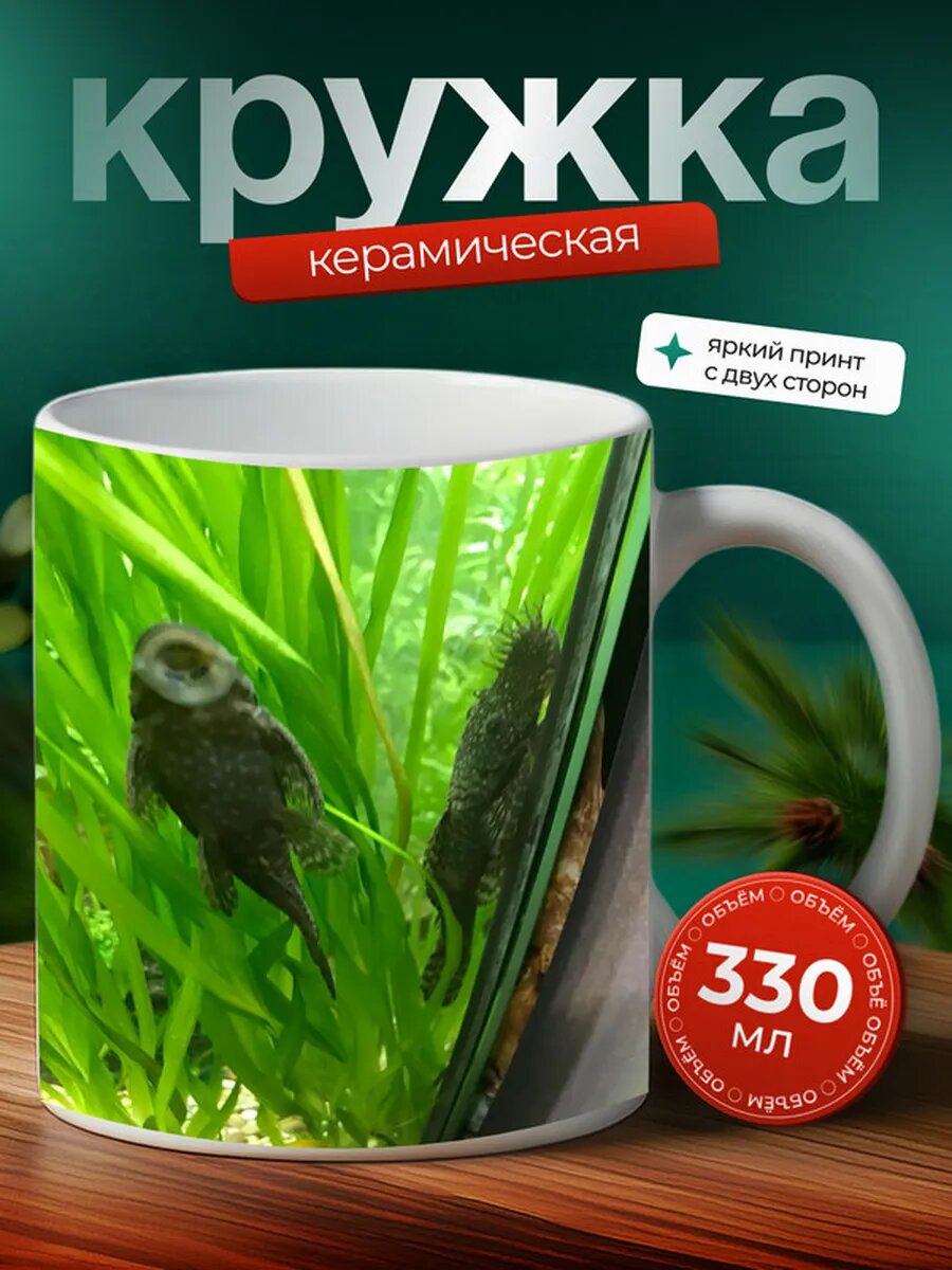 Кружка Сомик-коридорас рыбка 12,