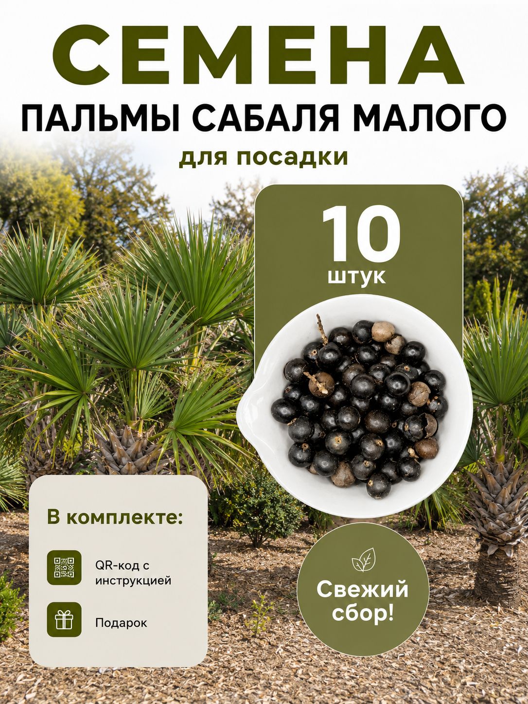 Семена Пальмы Сабаль малый, 10 шт