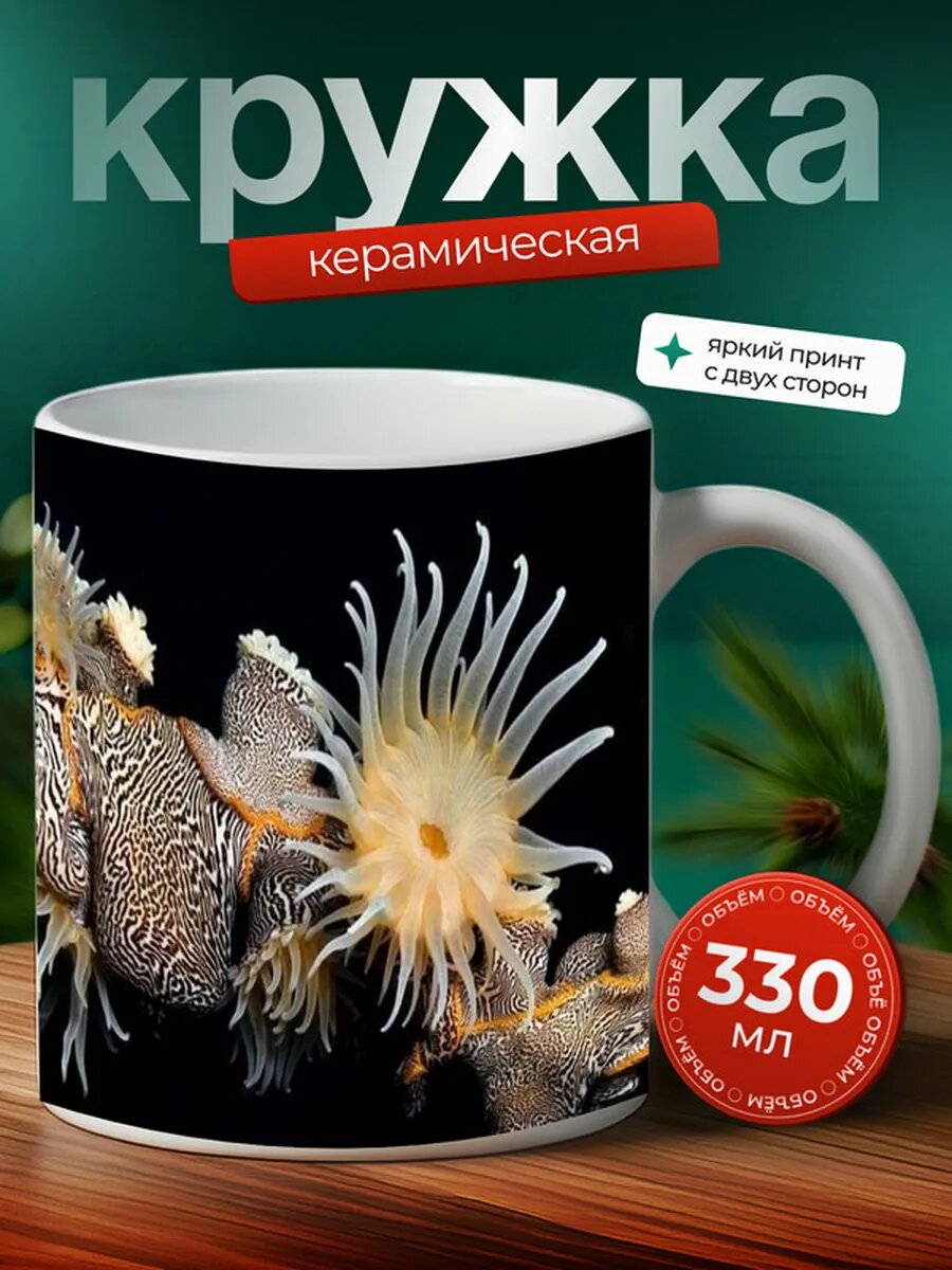 Кружка Эйлат город 20,