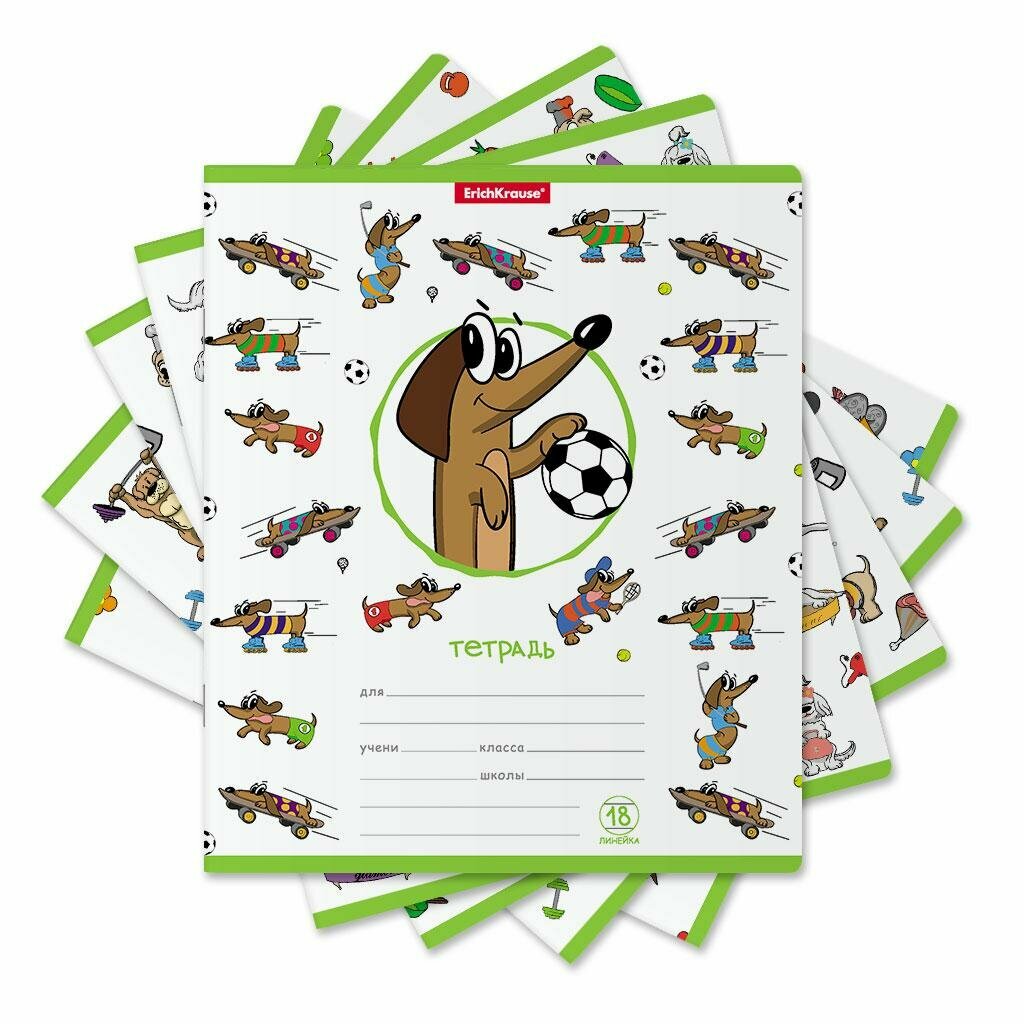 Тетрадь школьная «Busy Dogs MIX-PACK» А5 18л, линейка, Erich Krause, комплект 5 тетрадей