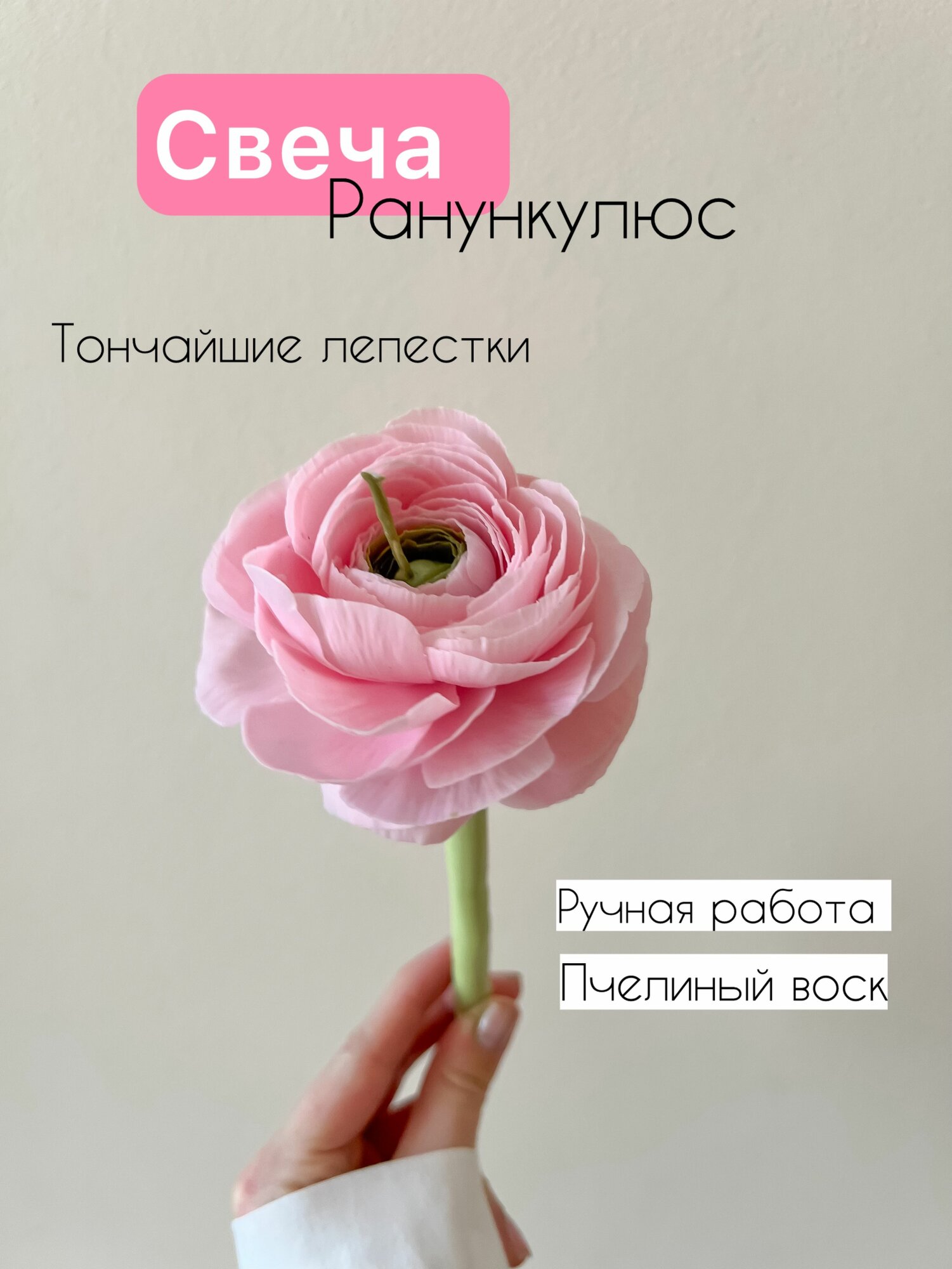 Свеча-цветок ранункулюс на стебле .