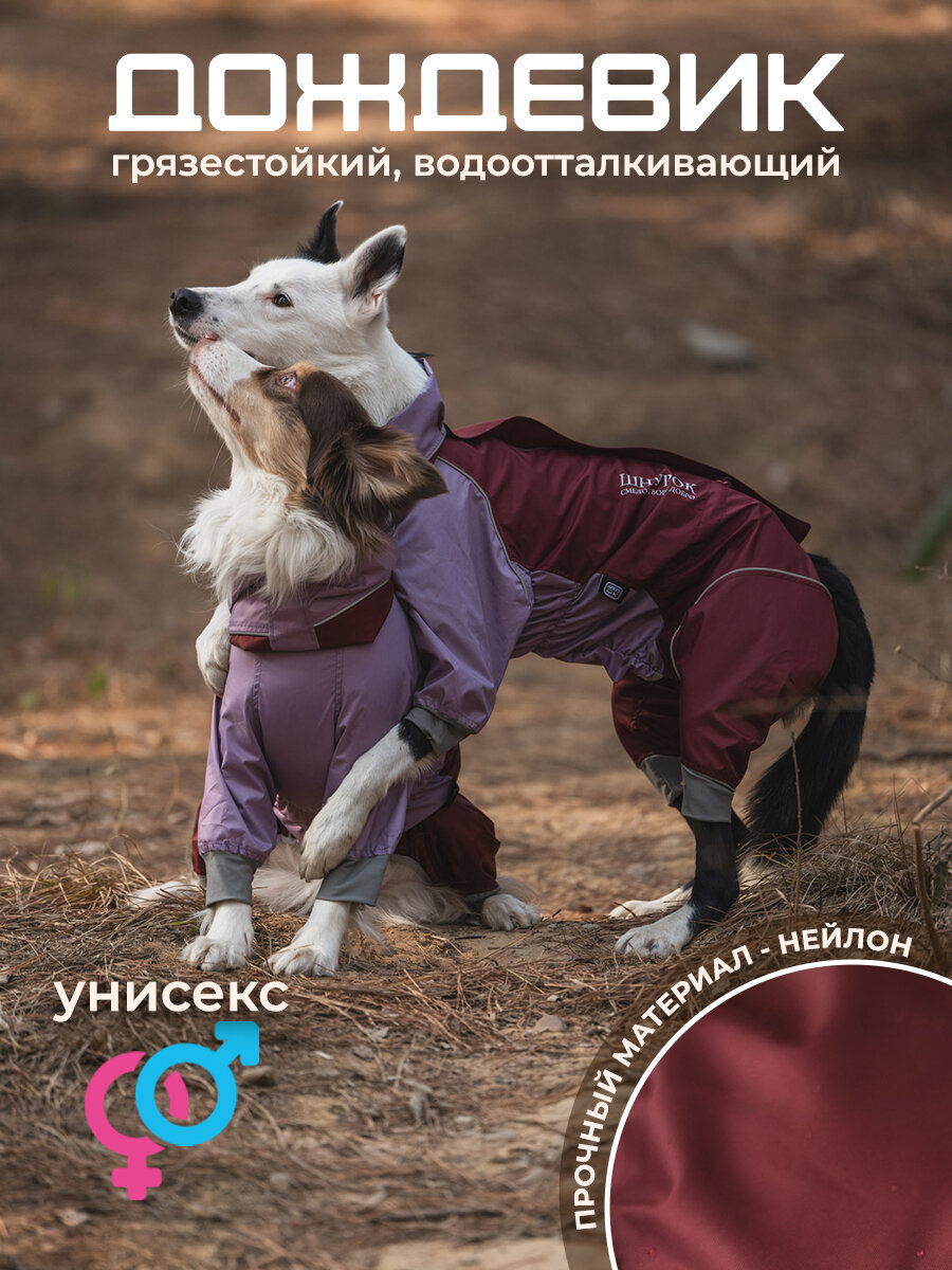 Дождевик для собак