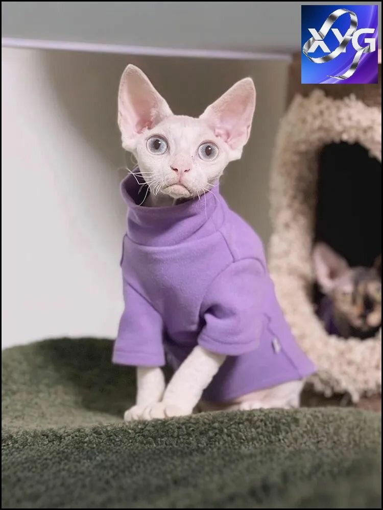 Эксклюзивный комбинезон для сфинкса, размер XL