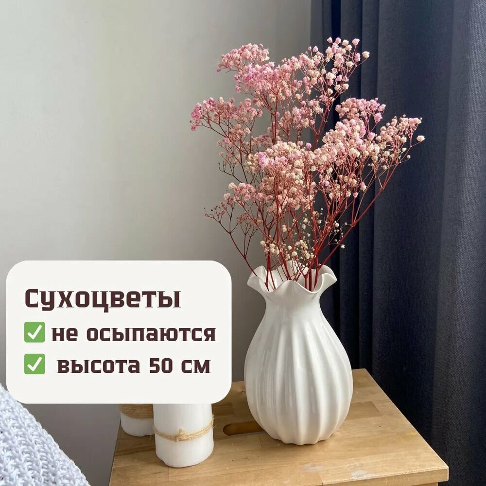 Стабилизированные цветы Гипсофила, 55 см, 20 гр, 2 шт