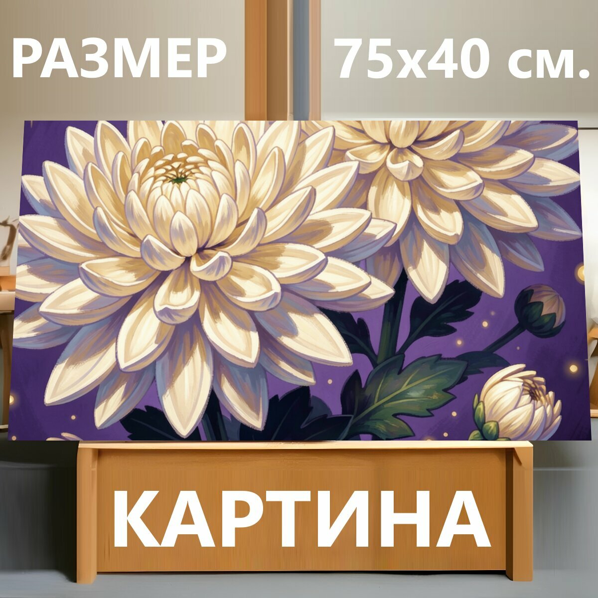 Картина на холсте "Крупные кремовые хризантемы. Изящные распустившиеся бутоны с нежными лепестками на глубоком фиолетовом фоне, мерцающие." на подрамнике 75х40 см. для интерьера