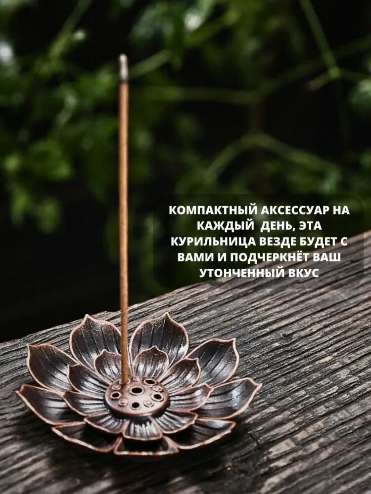 Ароматный созвездие