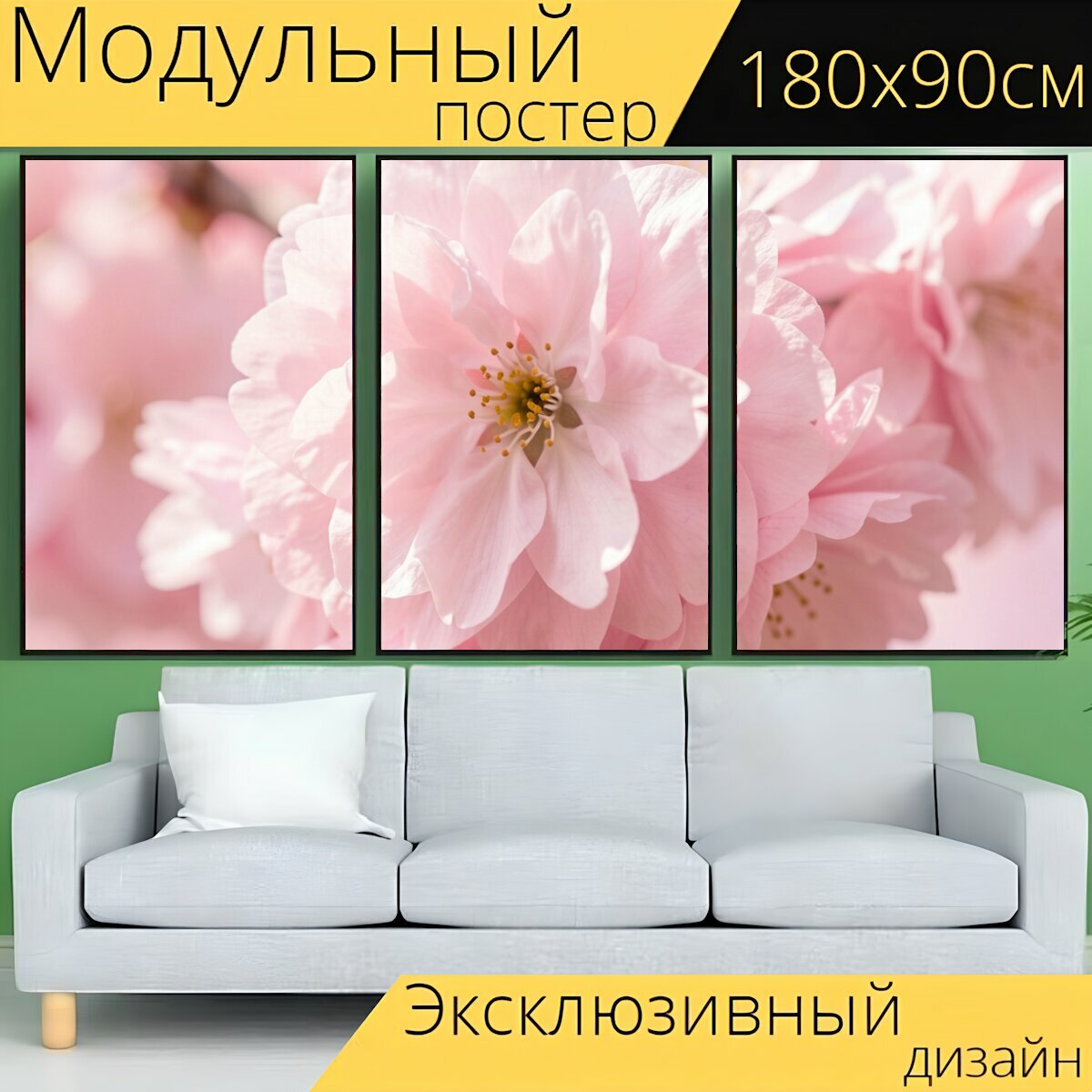 Модульный постер "Нежные розовые цветы сакуры. Пышные весенние соцветия в пастельной гамме, мягкий свет и размытый фон создают." 180 x 90 см. для интерьера на стену в тубусе