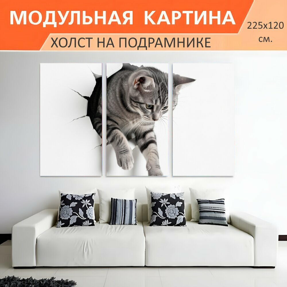 Модульная картина на холсте "Серый кот сквозь стену. Реалистичный полосатый питомец выходит из белой треснувшей поверхности, лапы." триптих на подрамнике 225х120 см. для интерьера